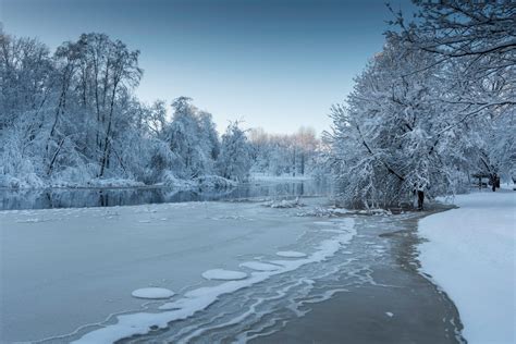 눈 덮인 나무가 있는 고요한 겨울 풍경 · 무료 스톡 사진