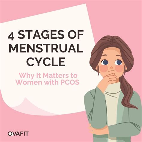 4 Stages Of Menstrual Cycle Why It Matters To Pcos Women