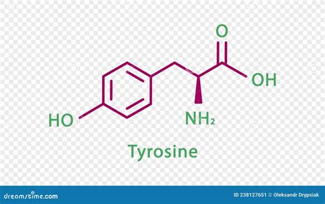 Tyrosine Chemical Formula Tyrosine Structural Chemical Formula