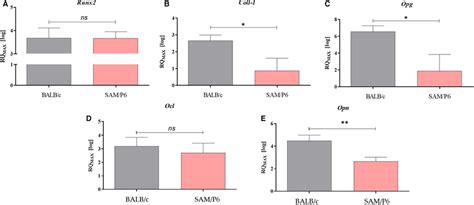 The Analysis Of Genes Transcriptomes Mrna Associated With
