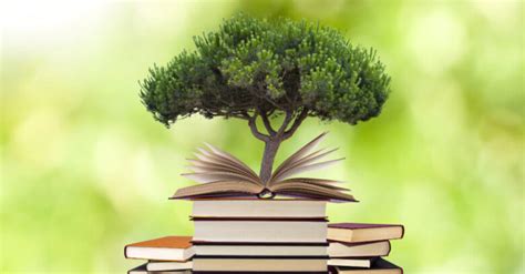 Educação E Gestão De Resíduos Sólidos Ética Ambiental