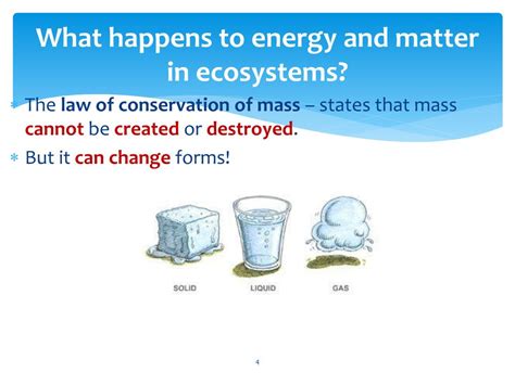 Ppt Unit 2 Lesson 3 Energy And Matter In Ecosystems Powerpoint