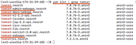 Aws Amazon Linux 2에 Jdk And Tomcat 설치하기 ~ My Programming Trend Report