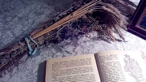 Стручки фасоли, описание и лечебное применение. - YouTube