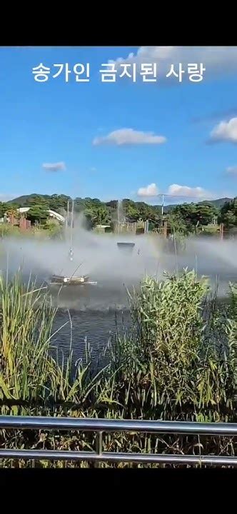 송가인 금지된사랑 연못 분수 무지개 뭉개구름 Youtube