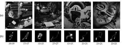 The Benchmark Dataset Used By Levin Et Al 23 A Sharp Images B Download Scientific Diagram