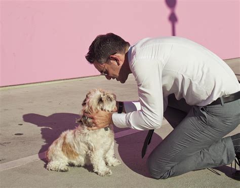 Mitch Levitt Dds Los Angeles Ca