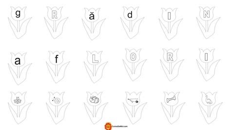 Fori De Primavara Cu Litere Curioși De Mici