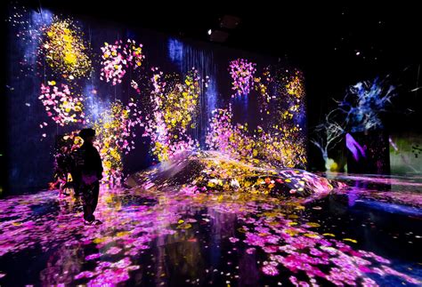 Experience Immersive Entertainment With Ekol Tv Your Gateway To A World Of Visual Delights