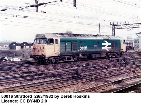 Diesel Locomotive 50016