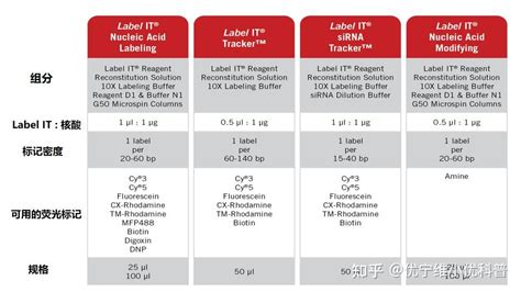 核酸标记新贵 转染最佳拍档 知乎