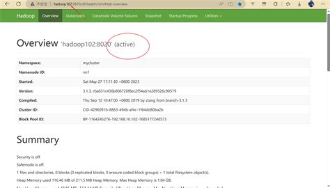 大数据 Hadoop Ha高可用搭建保姆级教程（大二学长的万字笔记）（下） 阿里云开发者社区