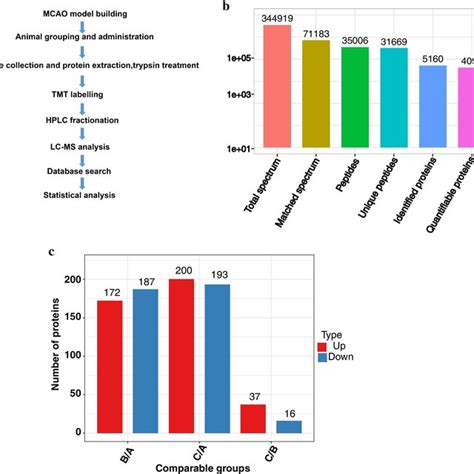 The Workflow And Results Of Proteomics Analysis A Workflow Of The Download Scientific Diagram