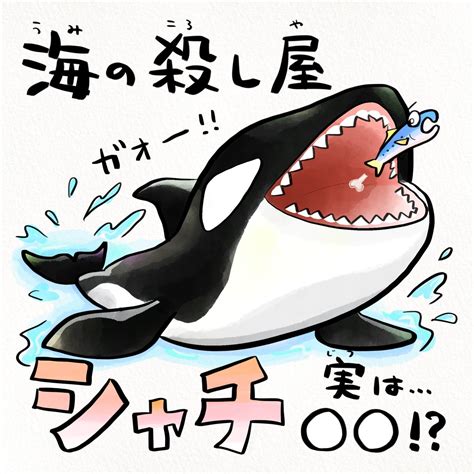 「ことばの日、シャチは賢すぎて方言もある」さかなのおにいさん かわちゃんの漫画