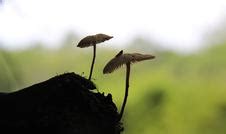数据结构与算法 最小生成树