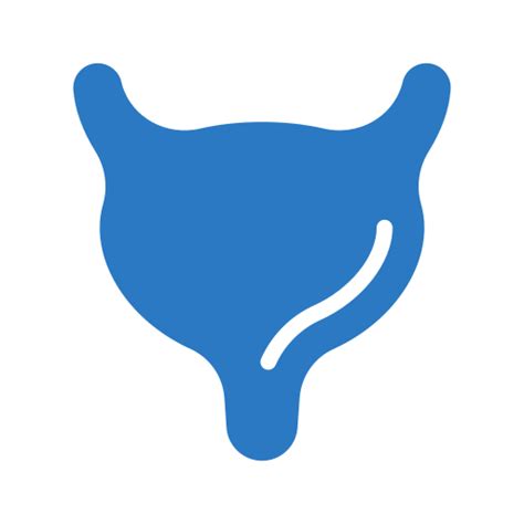 Bladder Generic Blue Icon