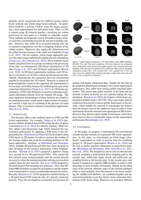 Multi Branch Convolutional Neural Network For Multiple Sclerosis Lesion