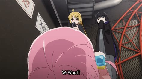 Different Types Of Nijika Fans Rokbuddybocchi