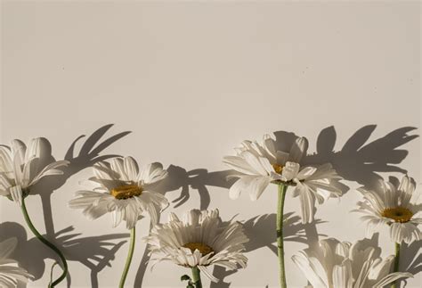 רעיונות למתנה לאמא