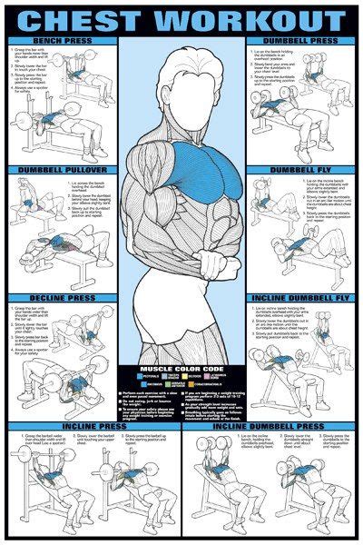 Упражнения для грудных мышц Best Chest Workout Chest Workout Chest