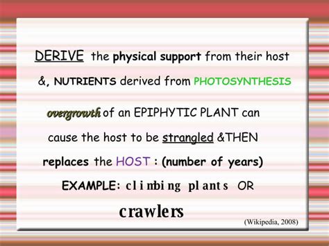Plant And Microbe Interaction Plant Roots Ppt
