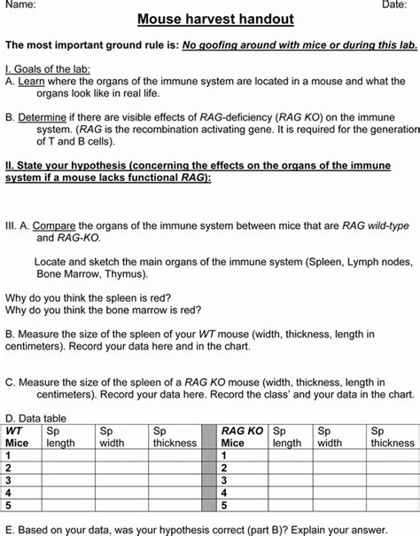 Chapter 1 Lab Investigation The Language Of Anatomy Worksheet