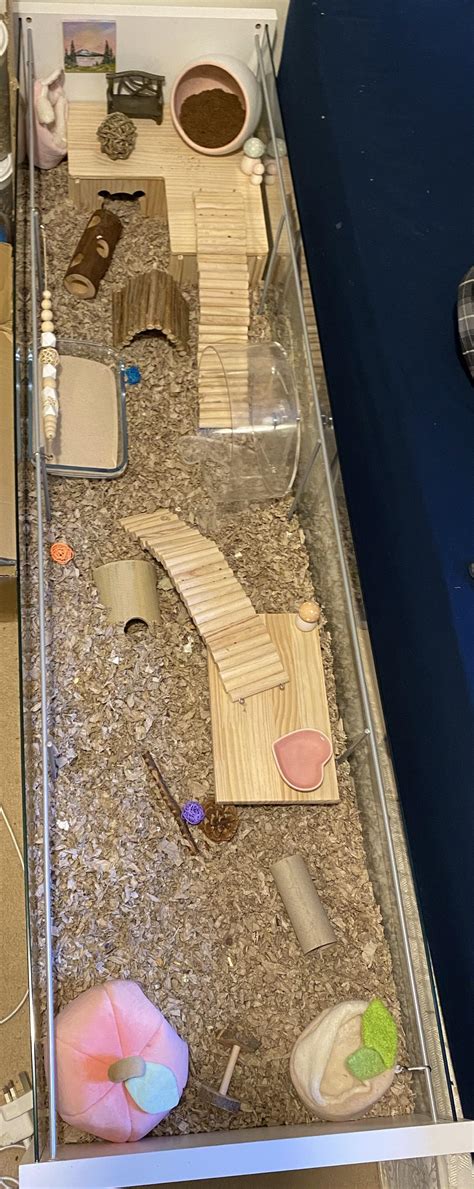 Bibble My Robos Enclosure R Hamsters