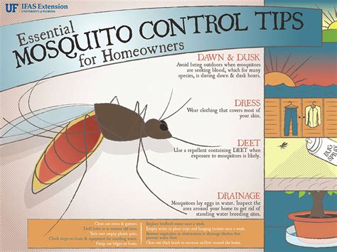 Essential Mosquito Control Tips Gardening Solutions