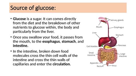 General Biology Cellular Respiraiton Powerpoint Pptx