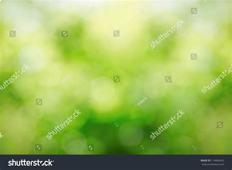 Fondo De Naturaleza Verde Abstracto Y Foto De Stock 114806443