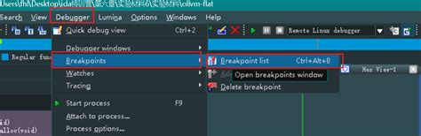 Idapython Pa1r0t