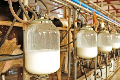 Ukraine Russian Conflict Impacts Dairy Sector Dairy Global