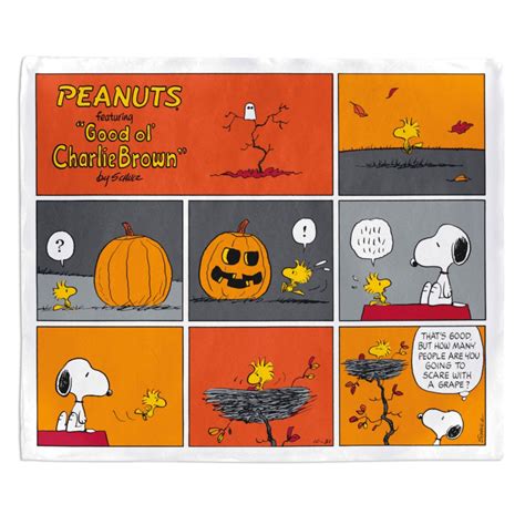 Peanuts® Snoopy And Woodstock Comic Strip Fall Throw Blanket 50x60