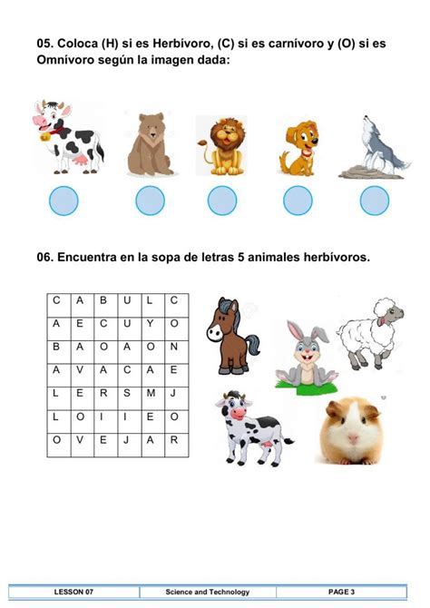 Animales según su alimentación activity Activities Animals Zoo