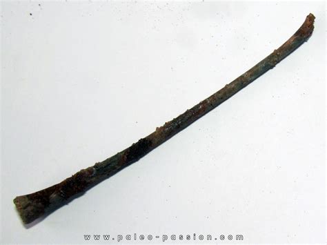 Pterosaur Bone Alanqa Saharica 2