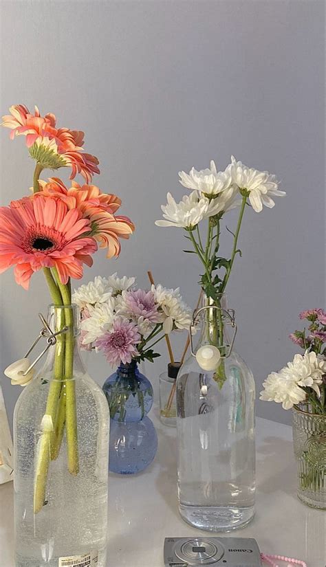 Pin By Mysmallworld On Aesthetic Boo Flower Aesthetic Beautiful