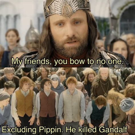 Fool Of A Took Rlotrmemes