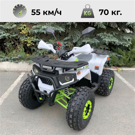 Квадроцикл детский бензиновый Lion 125 AY - купить с доставкой по ...