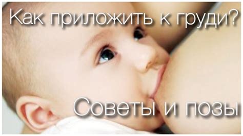 КАК приложить РЕБЕНКА к ГРУДИ правильно?! Трещины сосков!Профилактика ...