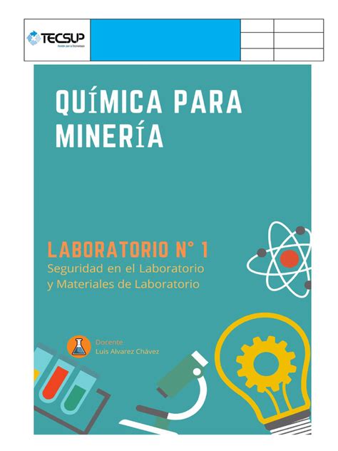 Quimica Inorganica Lab1 Pdf Combustión Medición