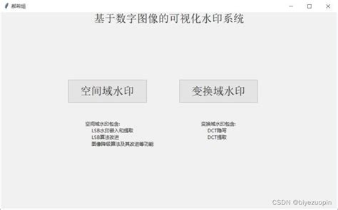 基于python的数字图形可视化水印系统的设计与实现基于数字图像的可视化水印系统设计与实现 Csdn博客