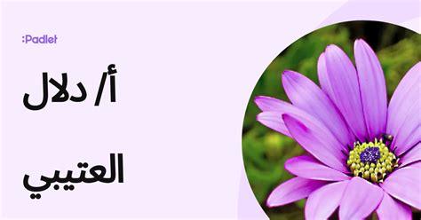 أ دلال العتيبي Dalals Profile Padlet