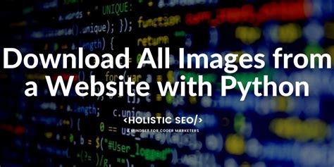 Python Seo Category Guidelines Tips And Lectures Holistic Seo
