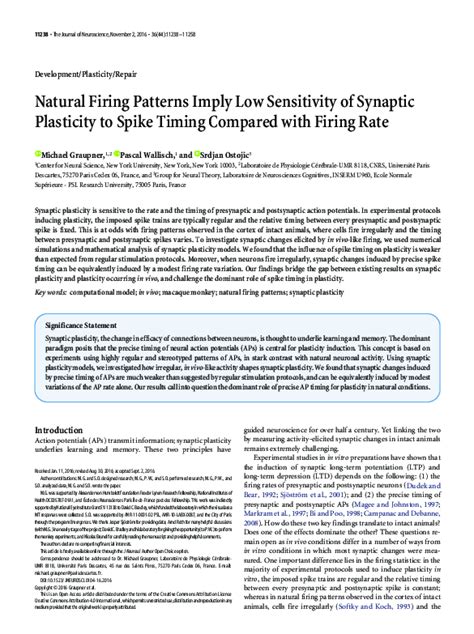 pdf natural firing patterns imply low sensitivity of synaptic