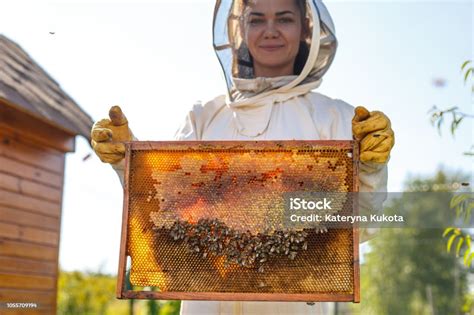 젊은 여성 봉 벌집 나무 프레임을 잡아 벌 꿀을 수집 합니다 양 봉 개념입니다 갈색에 대한 스톡 사진 및 기타 이미지 갈색