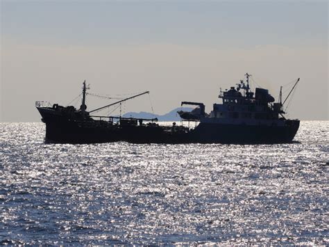 徳義丸 瀬戸内海の船兵庫の船舶写真改め