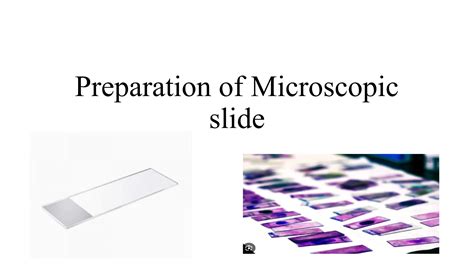 Preparation Of Slide Microbiology For Lab Technicians Pptx