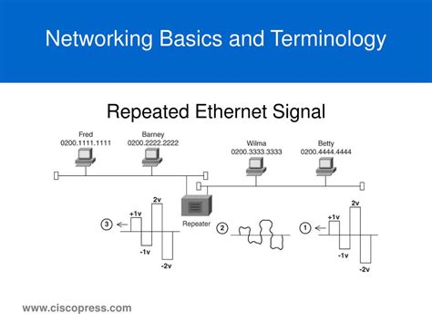 Networking Basics Ccna at Sharon Russell blog