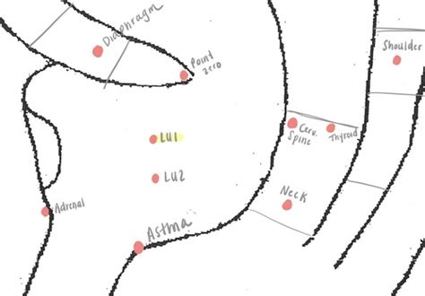 Auricular Point Location For Practical Flashcards Quizlet