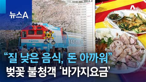 벚꽃 불청객 ‘바가지요금…“질 낮은 음식 돈 아까워” 뉴스a Youtube